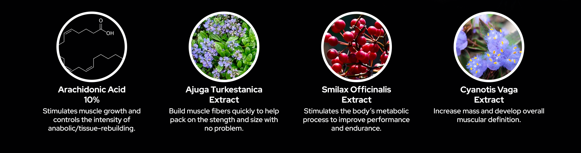 1 Month Supply, 3 Month Supply (1 Free), 5 Month Supply (2 Free)